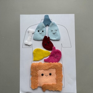 Set of 7 Pdf Pattern Felt Board Human Anatomy Educational Toys Busy ...