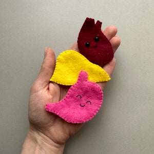 Set of 7 Pdf Pattern Felt Board Human Anatomy Educational Toys Busy ...