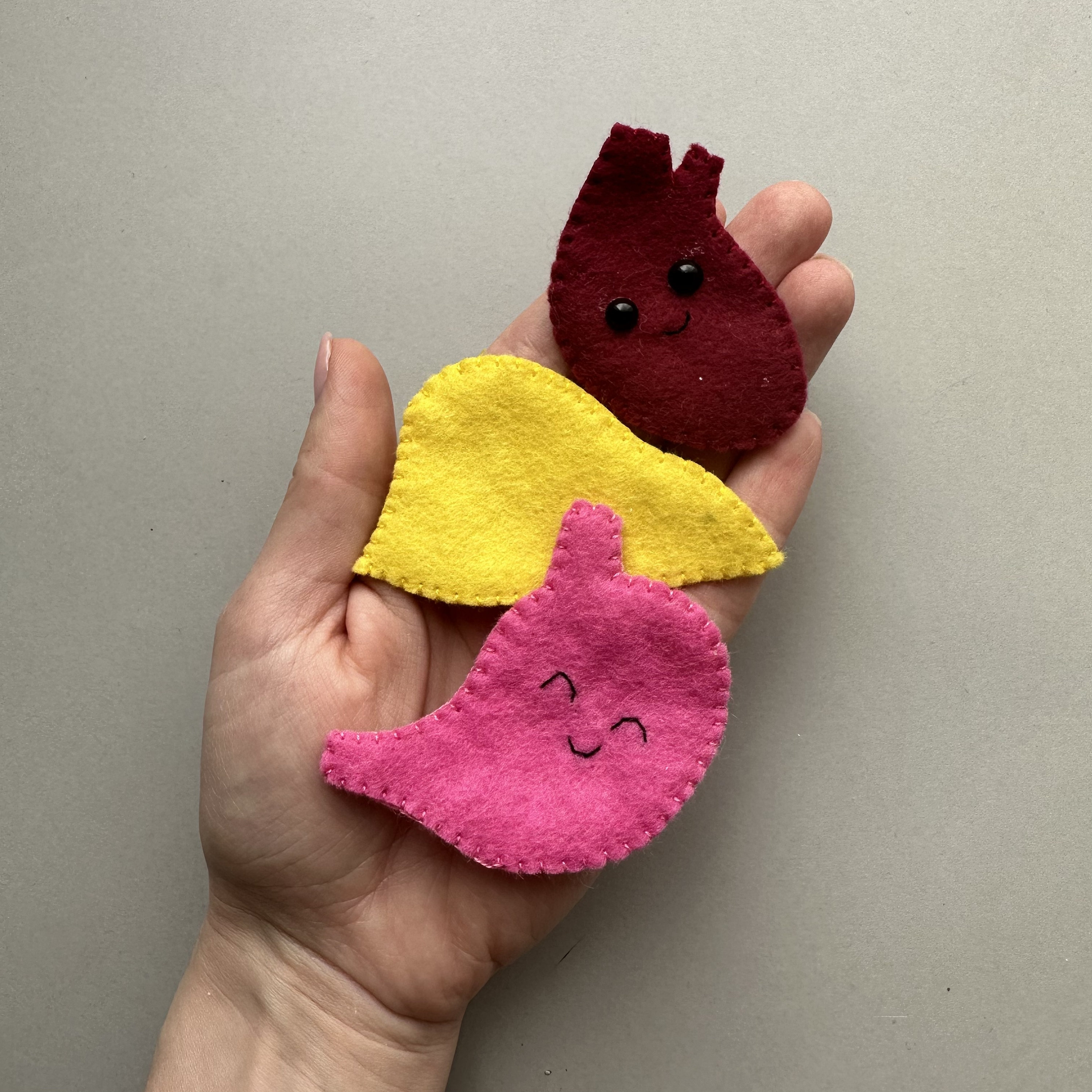 Set of 7 Pdf Pattern Felt Board Human Anatomy Educational Toys - Etsy