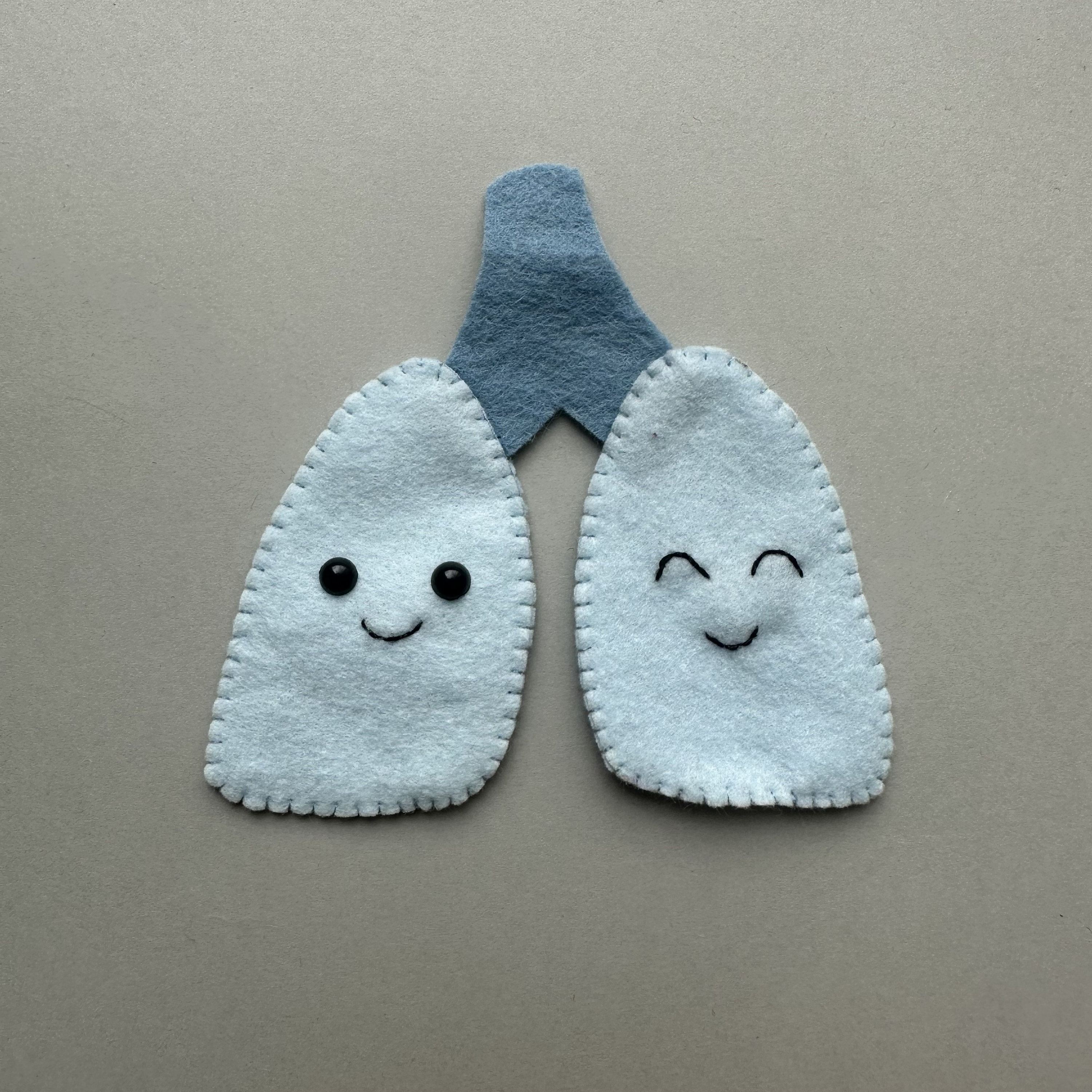 Set of 7 Pdf Pattern Felt Board Human Anatomy Educational Toys - Etsy