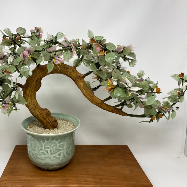 Jade Tree - Etsy