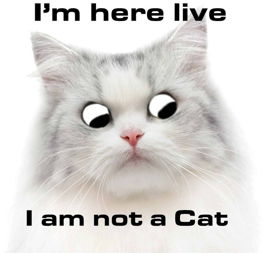 I'm Here Live, I Am Not a Cat Vinyl Sticker - Etsy