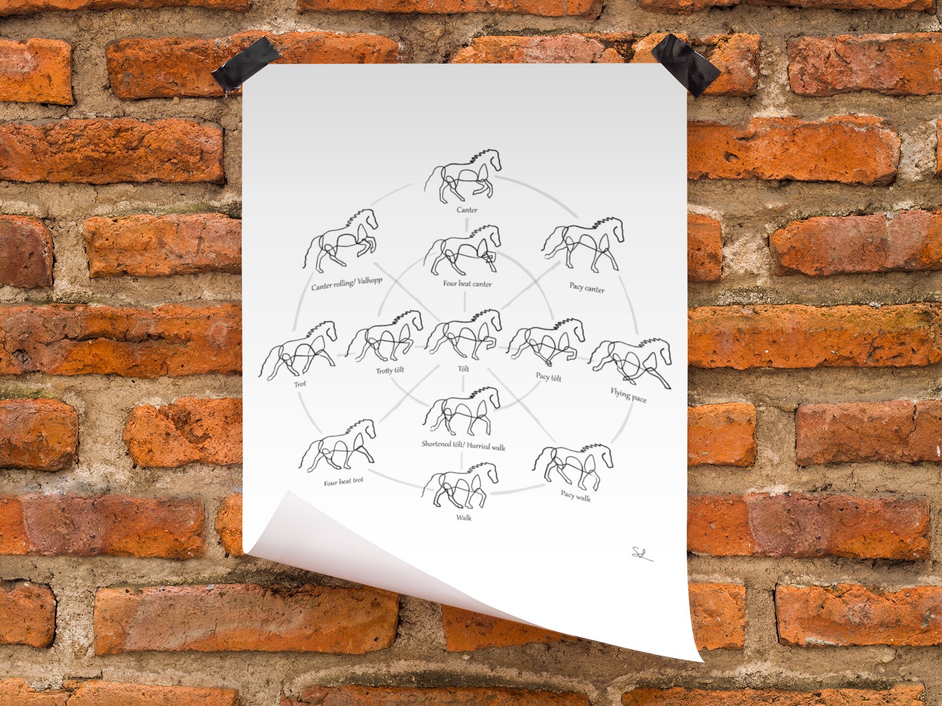 Educational Icelandic Horse Gait Poster Minimalist Design, Wall Art ...