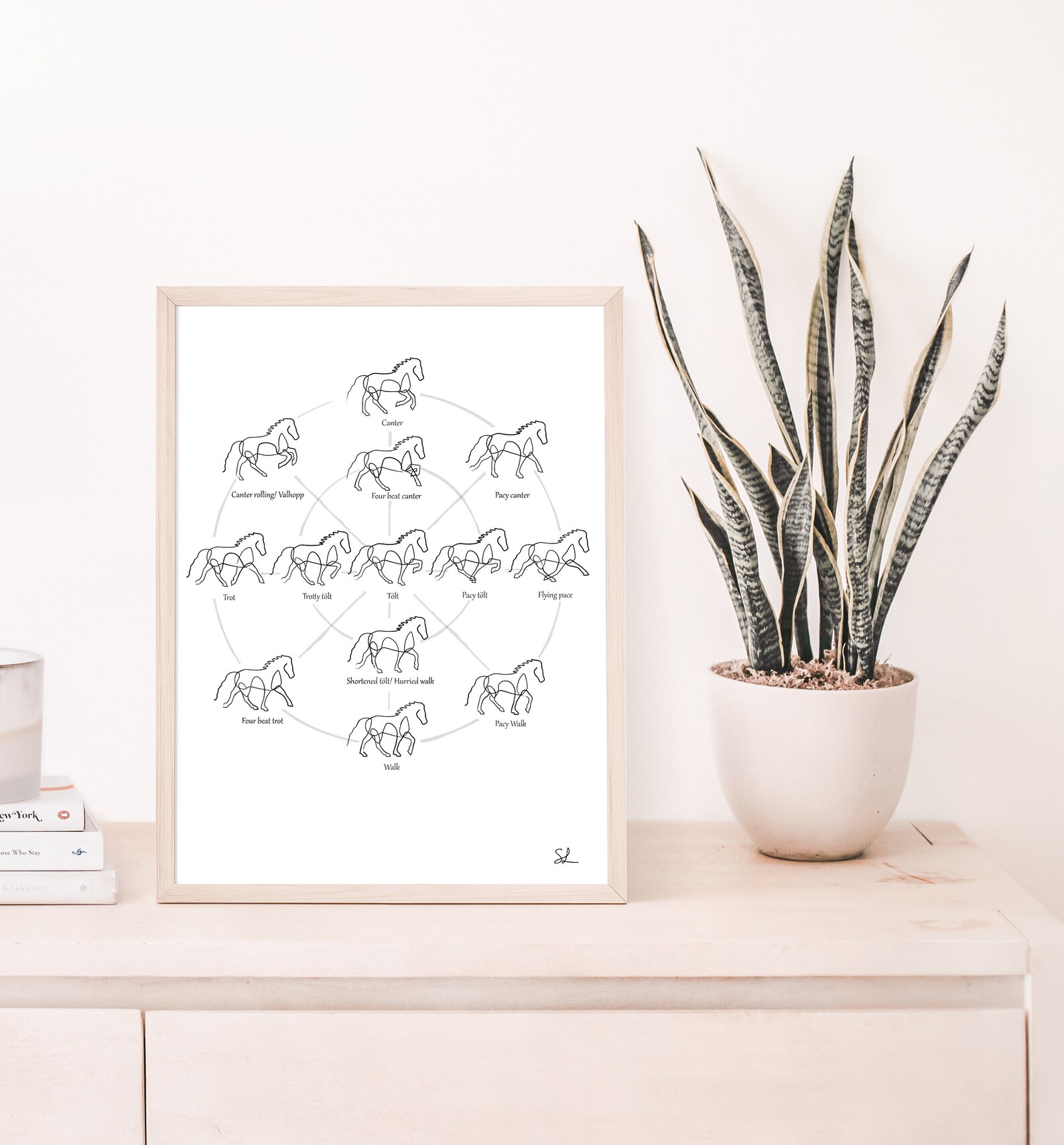 Educational Icelandic Horse Gait Poster Minimalist Design, Wall Art ...