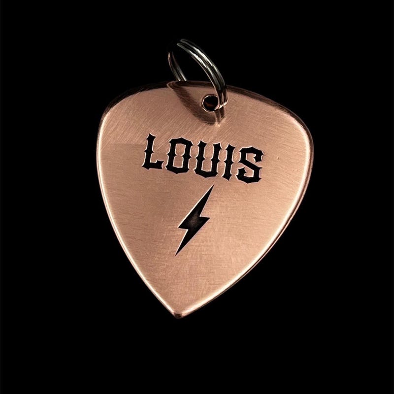 Dog Personalized Guitar Pick - Etsy UK