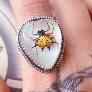 Real Spider Sterling Silver Heart Ring. Halloween Jewellery. UK Size R ...