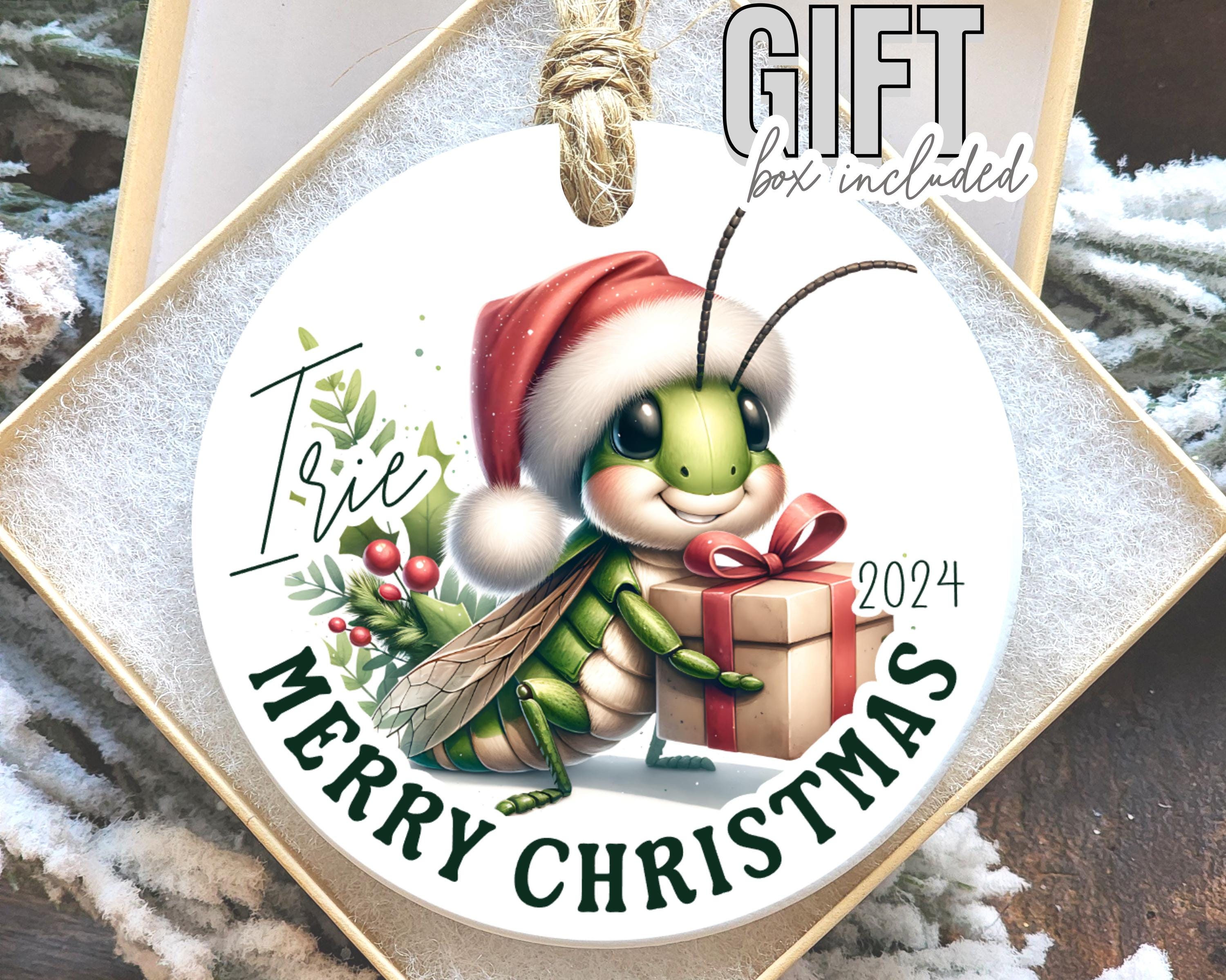 Grasshopper Christmas Ornament, Custom Name Ornament for Boy or Girl ...