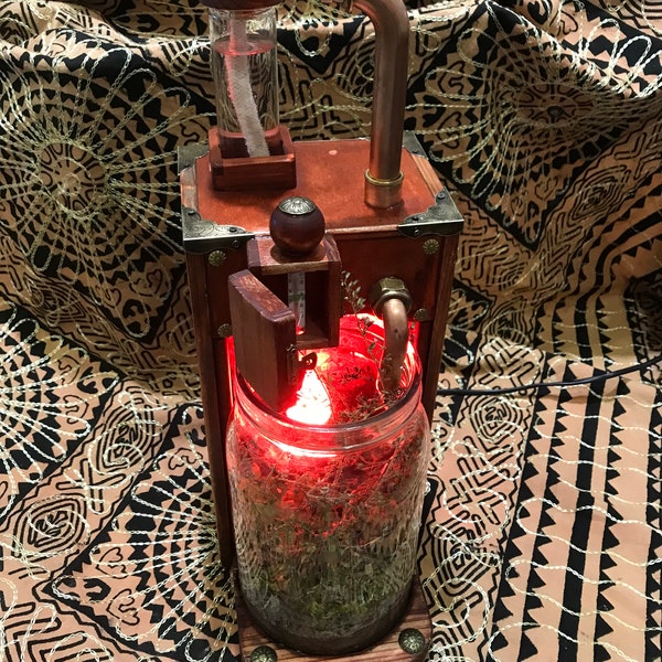 Steampunk Terrarium - Etsy