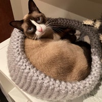 PDF Kitty Pod Knit Pattern - Etsy
