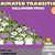 Animated Frog Stream Pet Custom Widget / STREAMELEMENTS Interactive ...