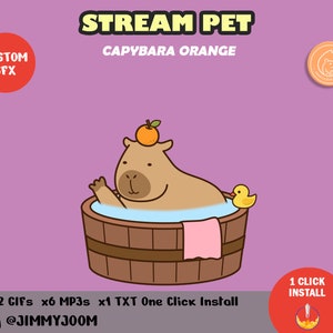 Capybara Stream Pet Widget / STREAMELEMENTS Interactive Pet Mascot / Youtube Twitch Stream Pet ...