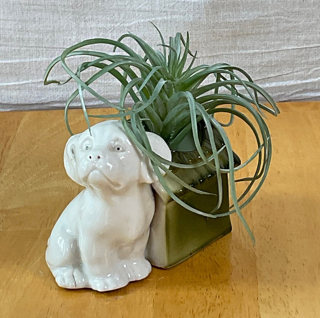 Fun Vintage Labrador Doghouse Planter - MCM - Dog House Jar - Perfect ...