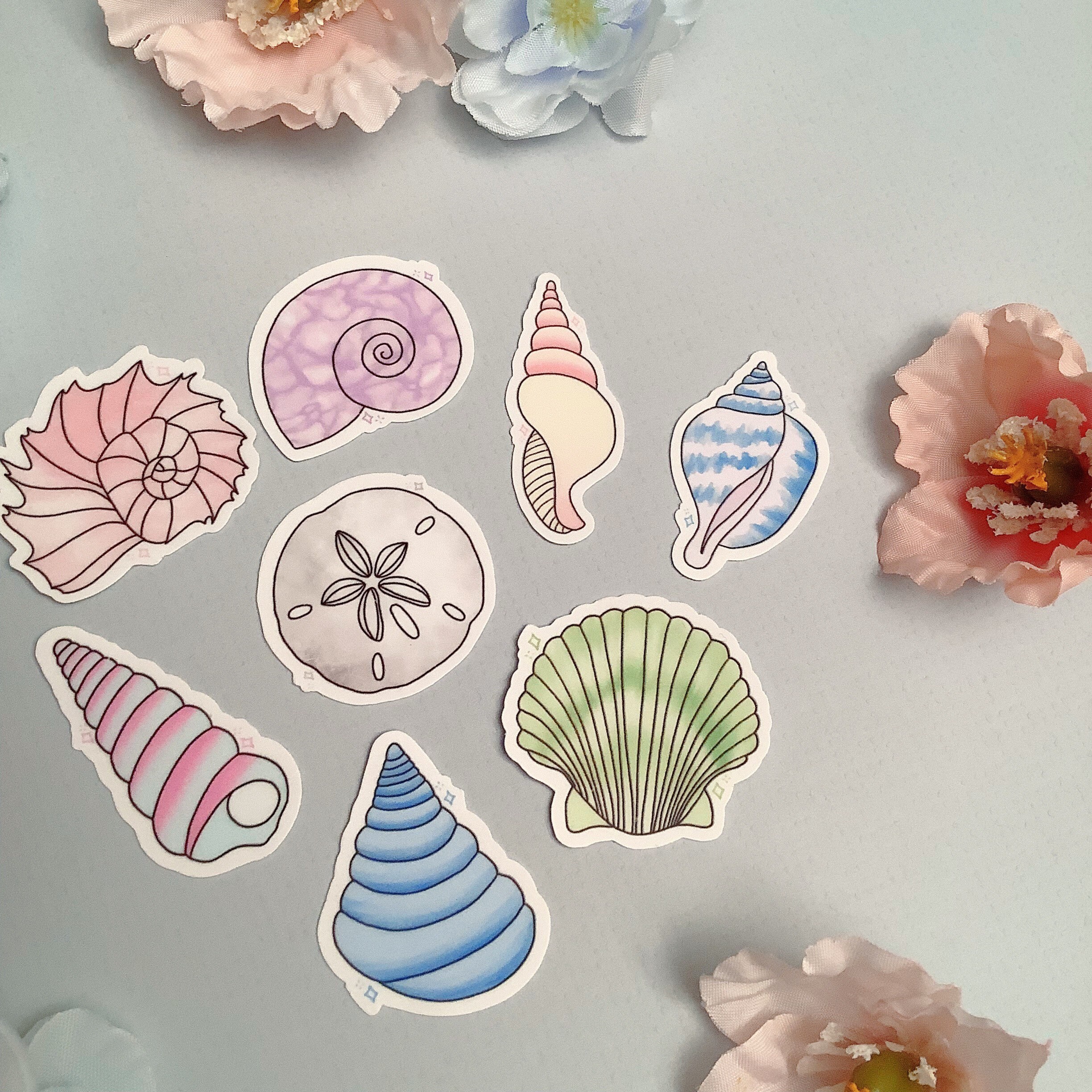 Small Sea Shells Sticker Pack / Ocean Stickers / Colorful Shell ...
