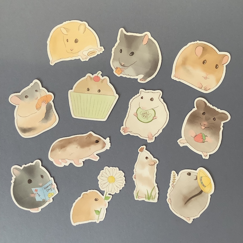 Hamster Stickers - Etsy