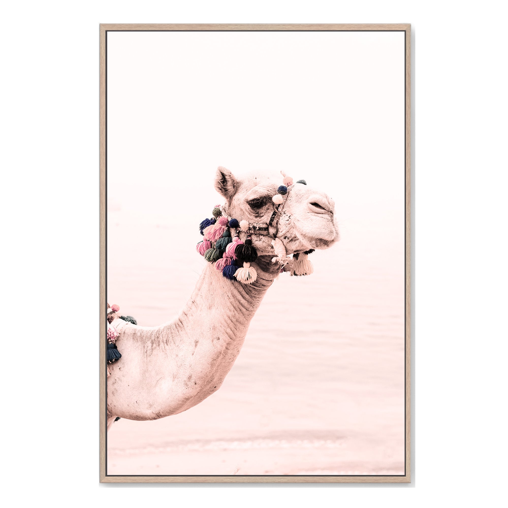 Desert Camel Wall Art Print Beige Camel in Desert Sand Dunes - Etsy