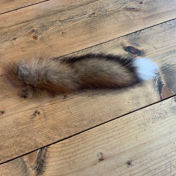 Real Fox Tail - Etsy UK
