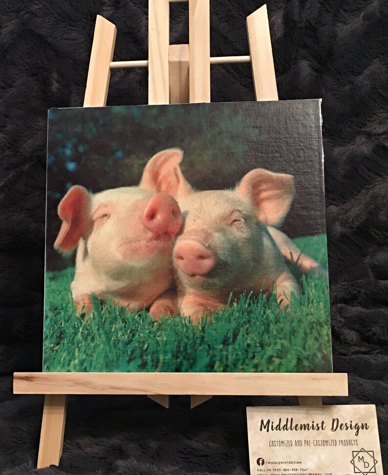 Piglets Piglet Canvas Art 8x8 Canvas Art Custom Wall Art | Etsy