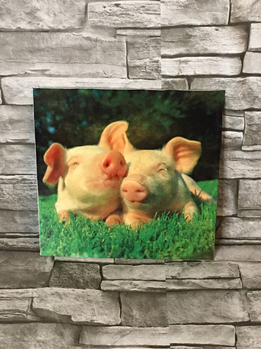 Piglets Piglet Canvas Art 8x8 Canvas Art Custom Wall Art - Etsy