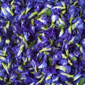 Blue Dream Tea - Etsy