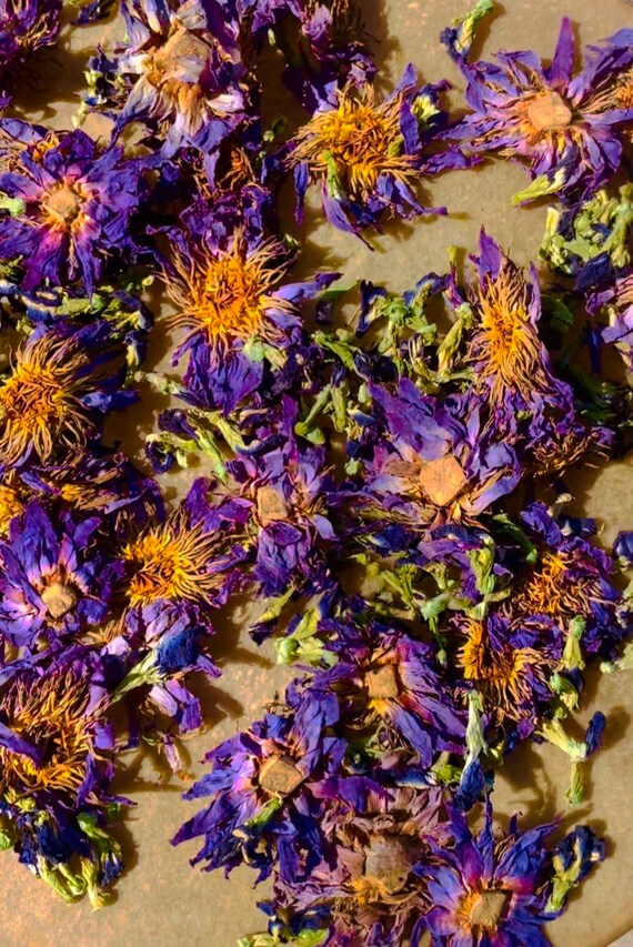 Blue Dream Tea - Etsy