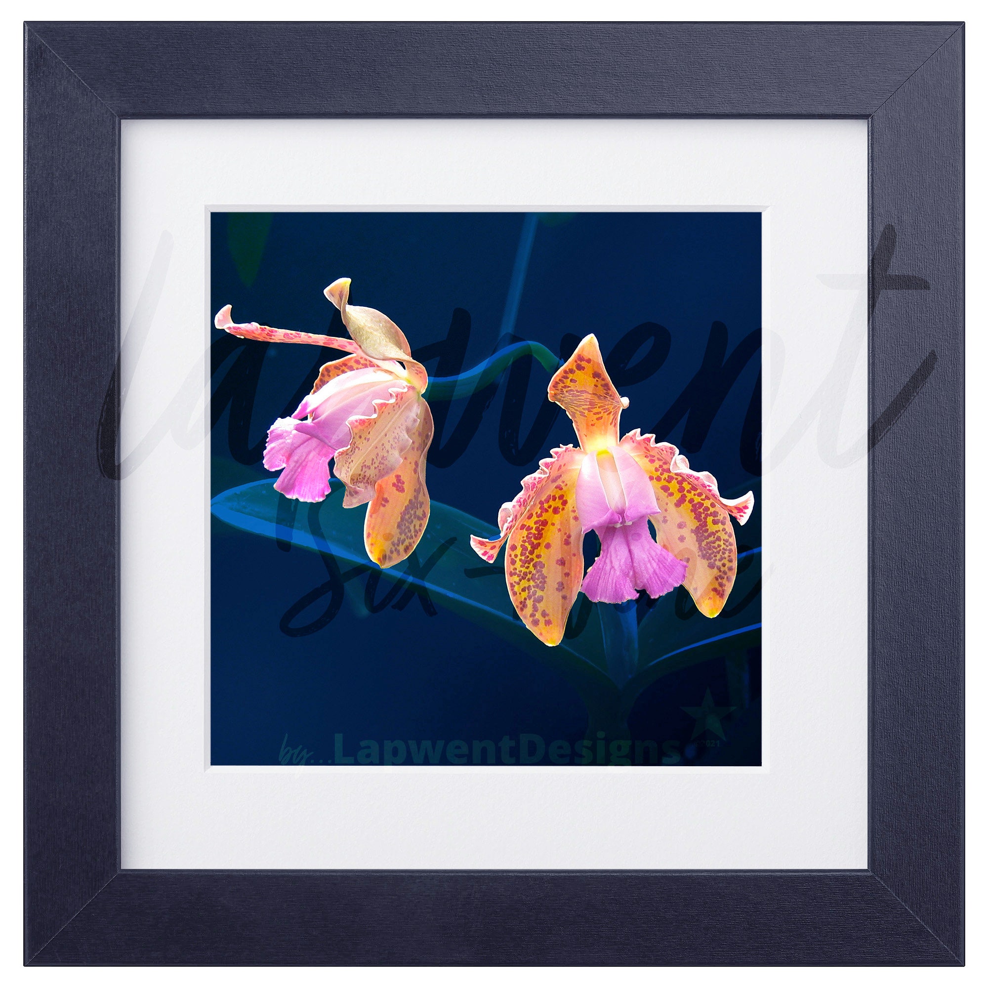 Cattleya Tigrina Orchid, Digital File for Floral Wall Decor - Etsy