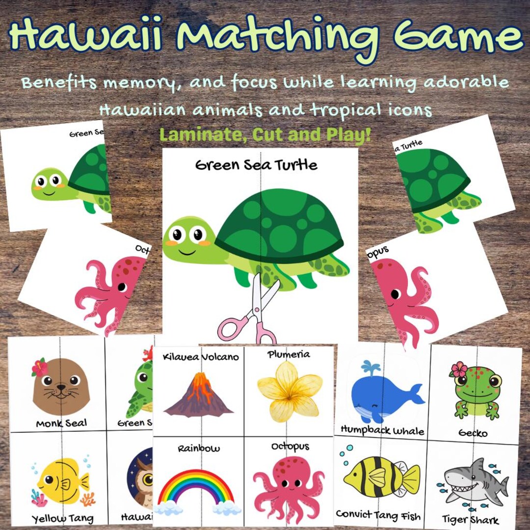 Hawaii Matching Game | Autism Visual Learning (PDF) - Etsy UK