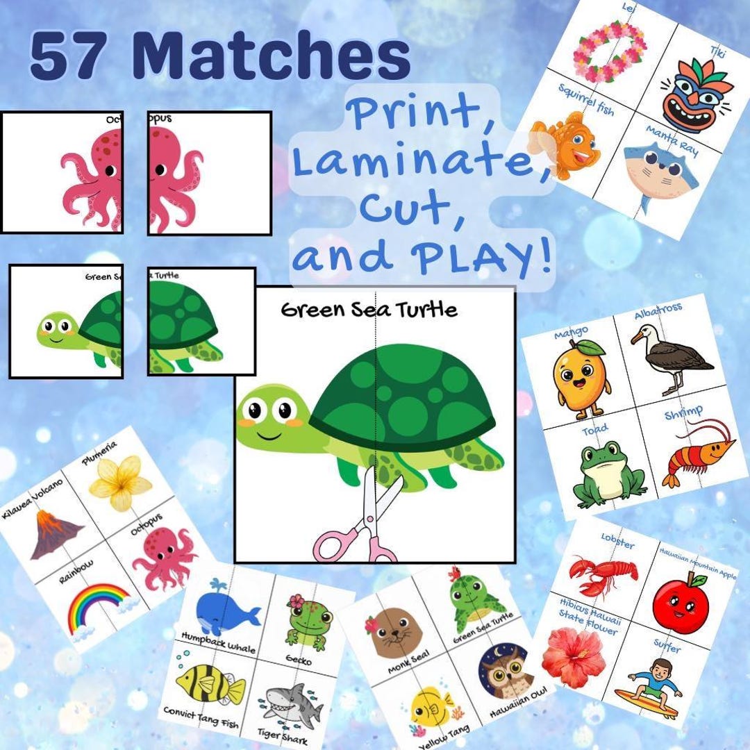 57 Hawaiian Matching Game, Picture Puzzle Activity for Kids Visual ...