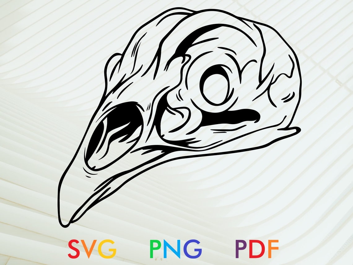 Bird Skull Svg, Bird Skull Png, Bird Skull Pdf, Crow Skull Svg, Crow ...