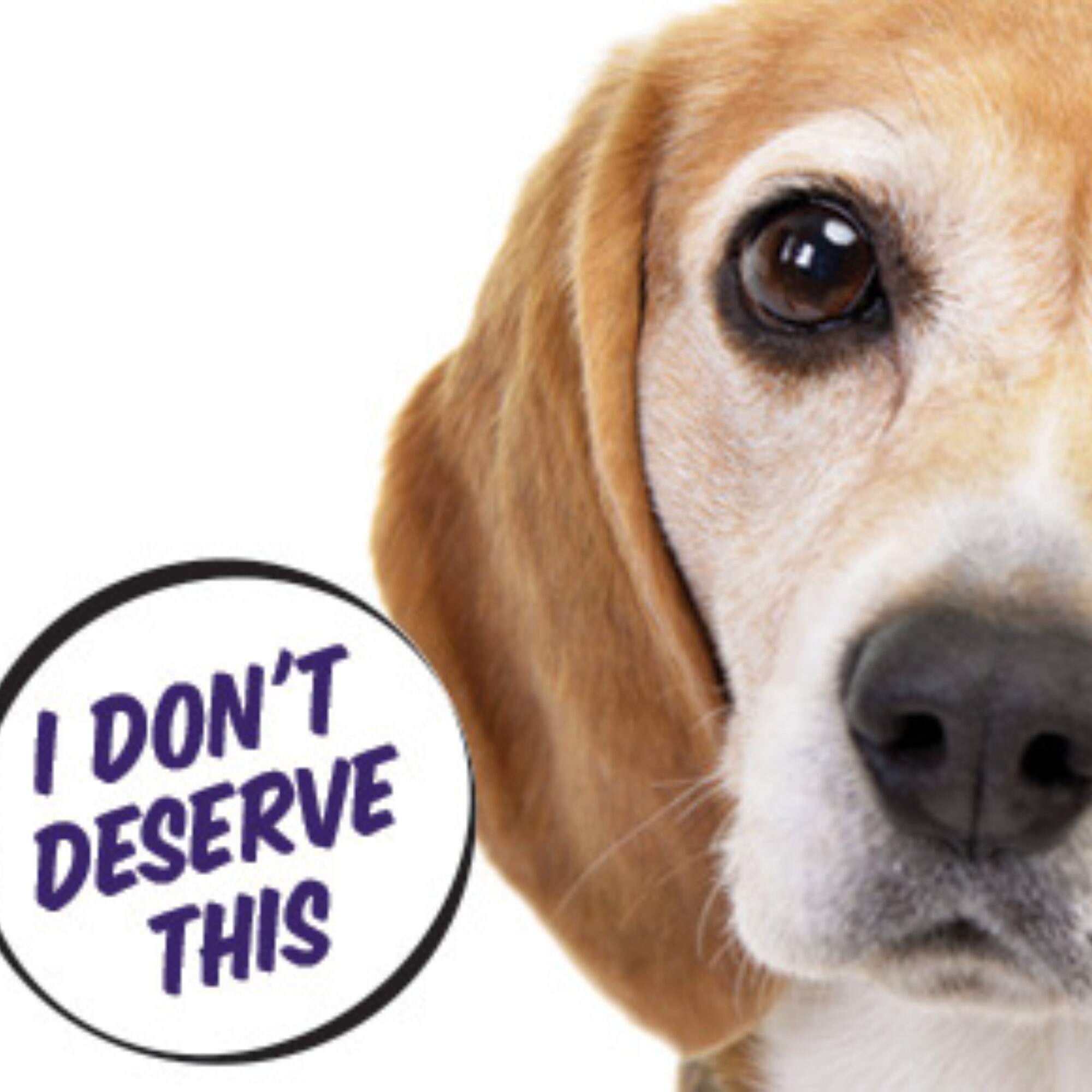 Sheer Miracle Green Loose Powder Color Corrector Concealer Neutralize ...