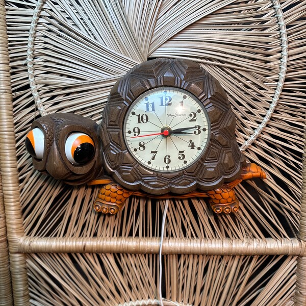 Big Eyed Turtle - Etsy