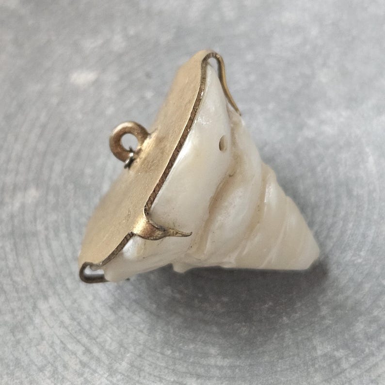 Vintage Pearl Trochus Shell Button: French Collector Button - Etsy