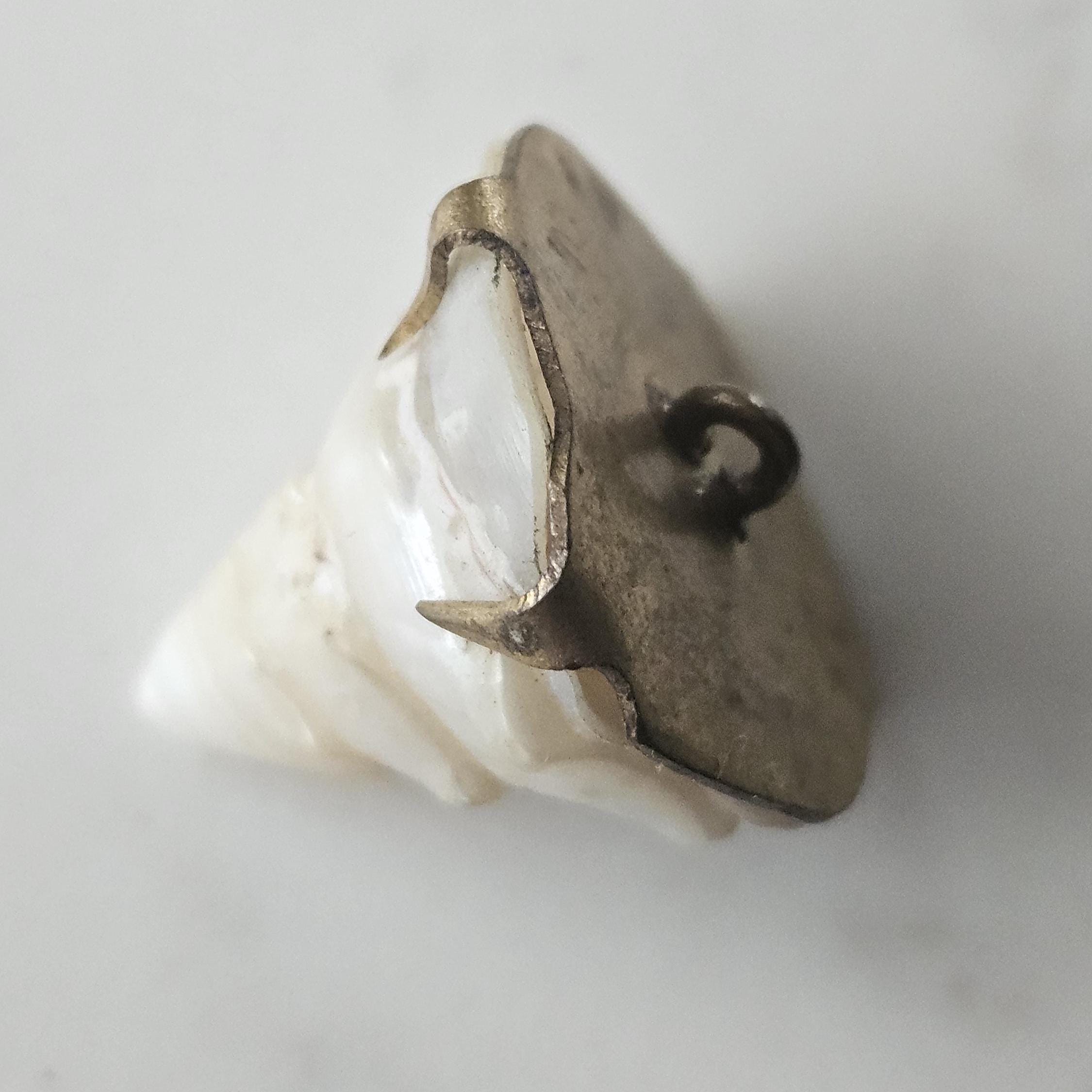 Vintage Pearl Trochus Shell Button: French Collector Button - Etsy
