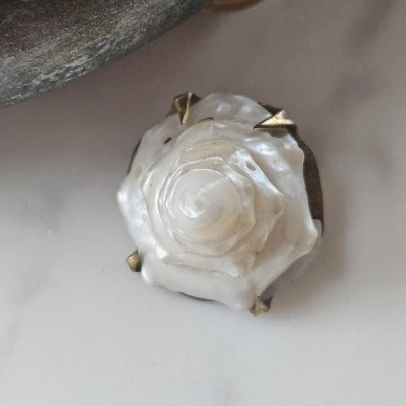 Vintage Pearl Trochus Shell Button: French Collector Button - Etsy