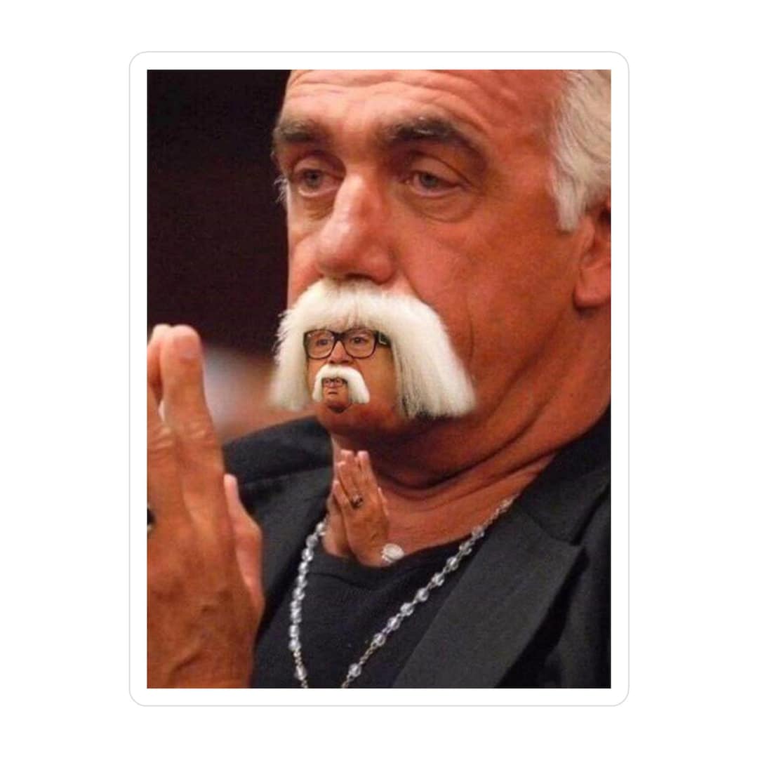 Funny Danny Devito Kiss-cut Vinyl Decals for Laptop, Water Bottle, Car ...