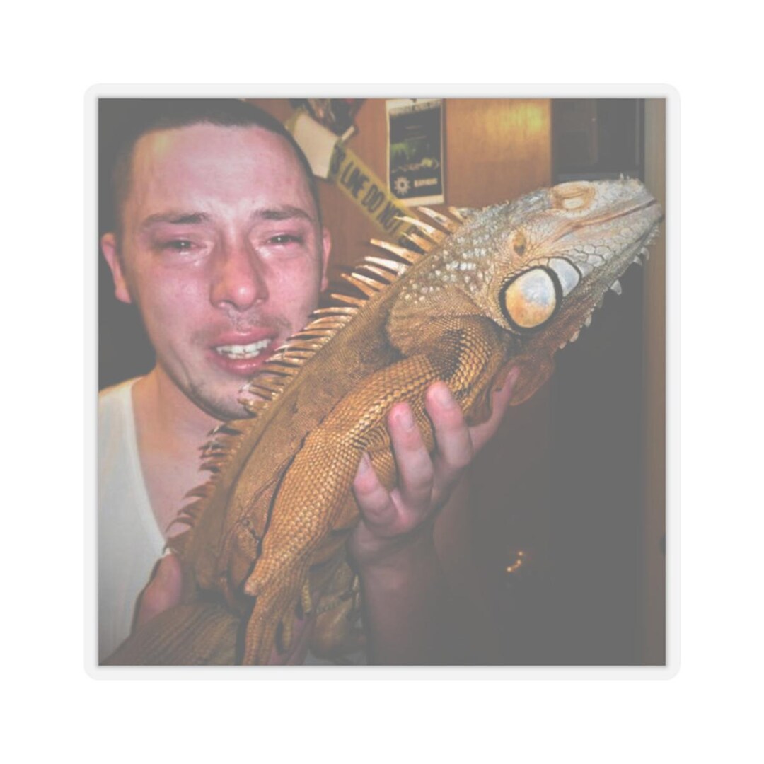 Funny Man Cries With Big Lizard Kiss-cut Stickers, Meme Sticker, Laptop ...