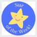 Star of the Week Teacher Stickers, Classroom Resource, Ks1 Ks2, Eyfs ...