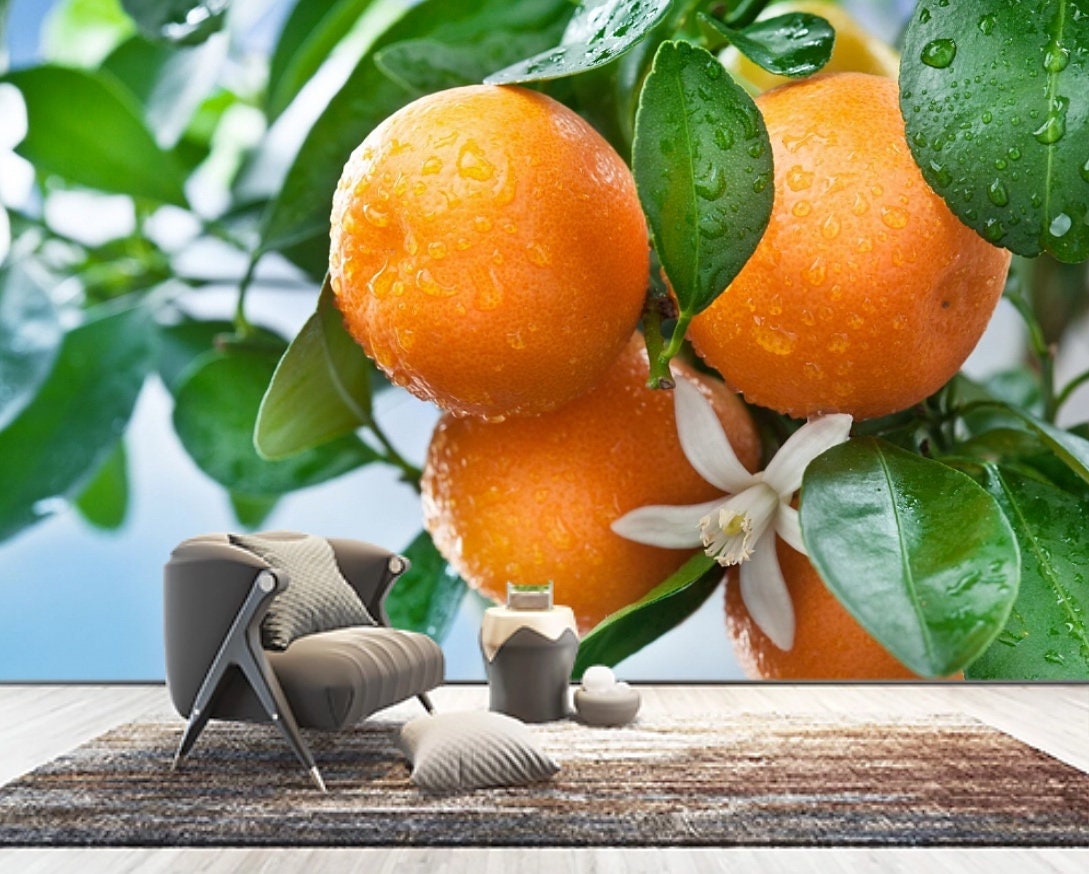 Orange Tree Wallpaper 3d