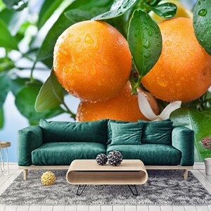 3D Vinyl Wallpaper ORANGE TREE Wall Mural 3D Photo Wallpaper Nature ...
