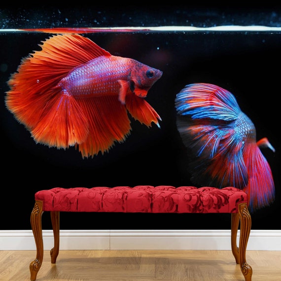 Wall Murals Fish Wallpaper Kids Vinyl Wallpaper Wall Decor - Etsy
