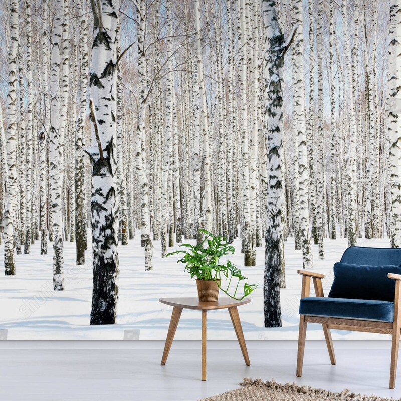 Birch Tree Wallpaper - Etsy