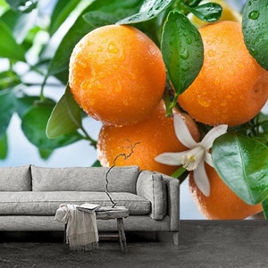 3D Vinyl Wallpaper ORANGE TREE Wall Mural 3D Photo Wallpaper Nature ...