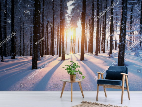 Nature 3D Wall Mural Forest Mural 3d Wall Paper Peel and Stick - Etsy