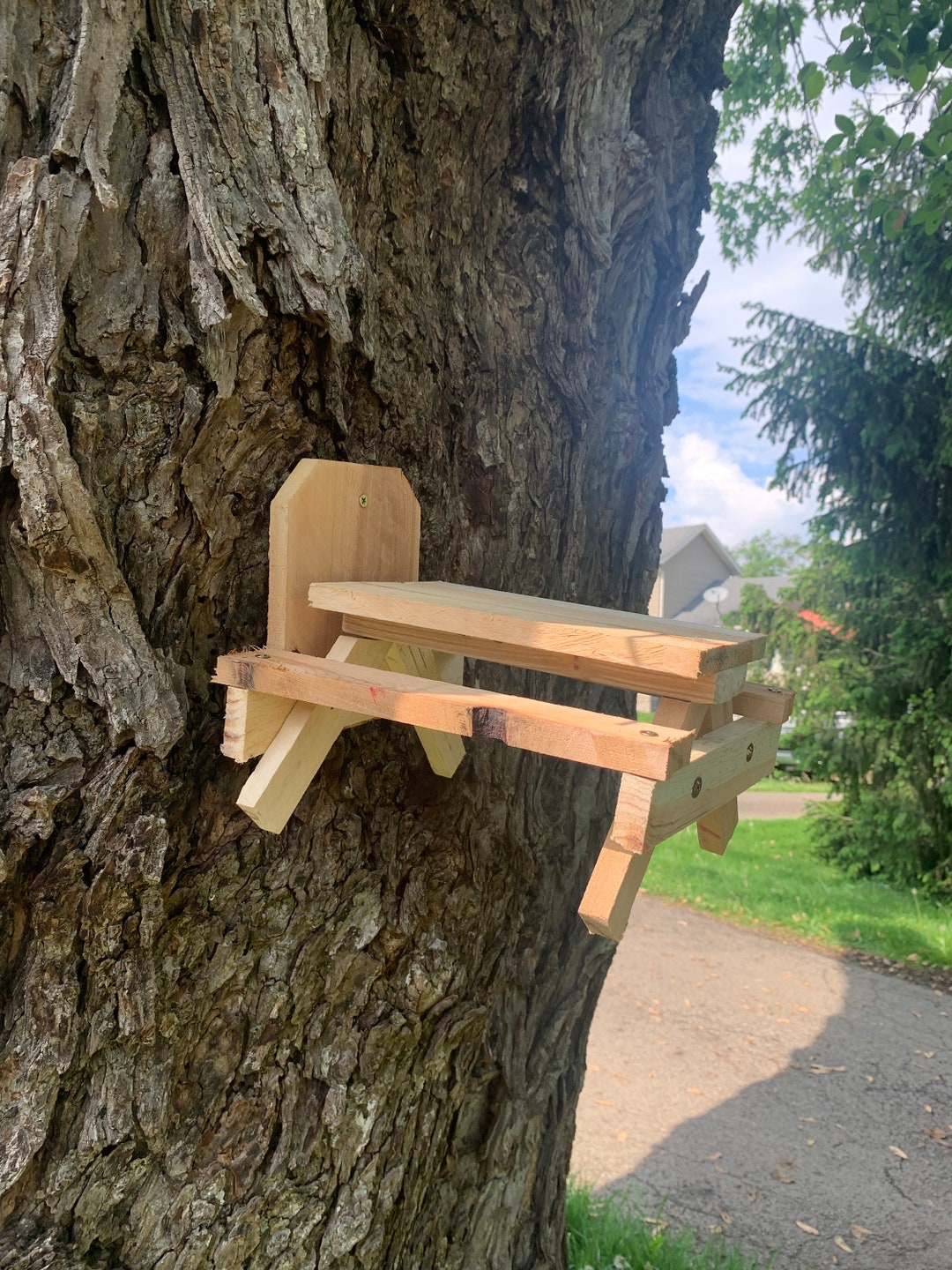 Squirrel Picnic Table - Etsy