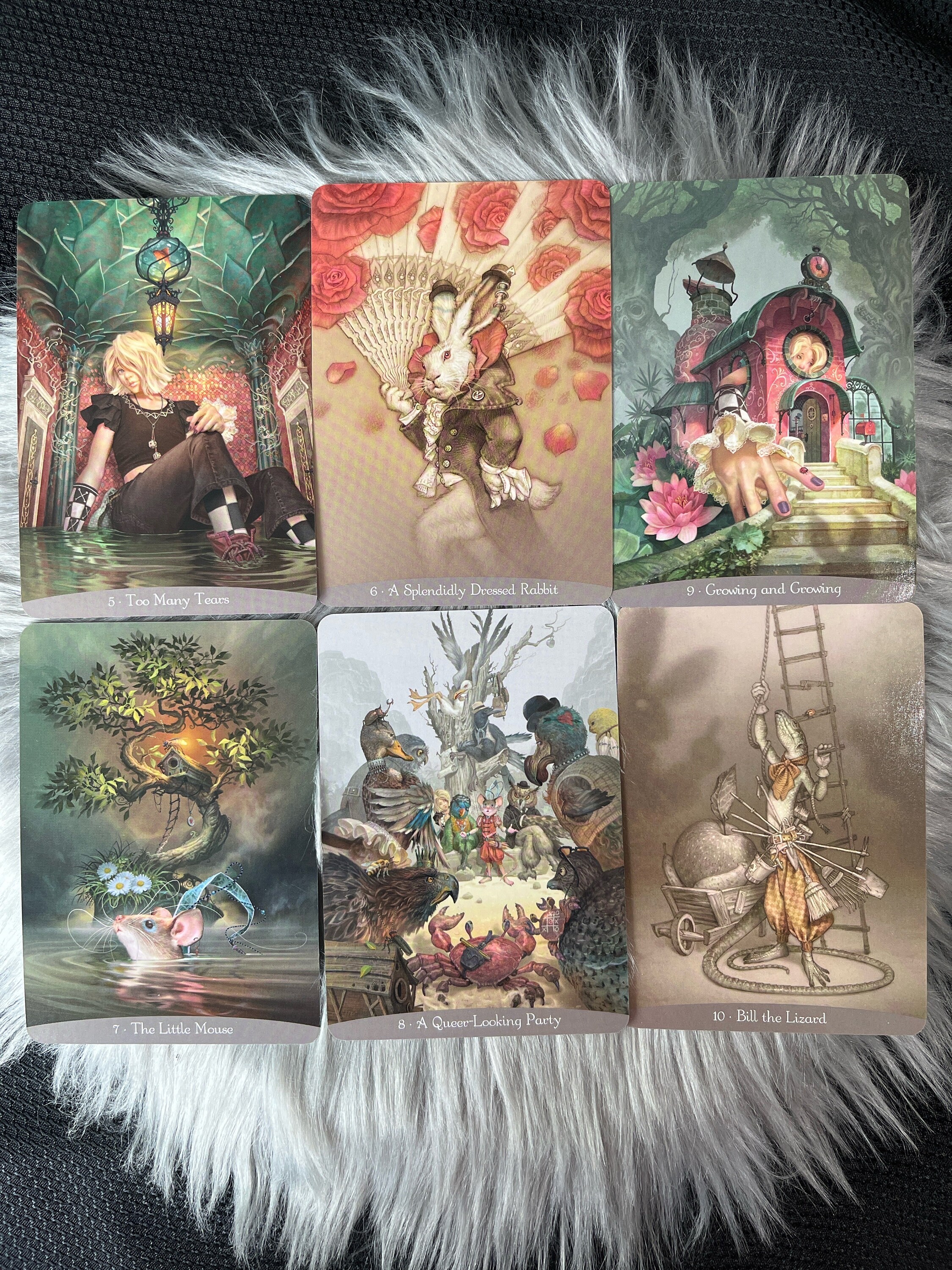 Alice in Wonderland Oracle Card Deck and Physical Guidebook Set by ...