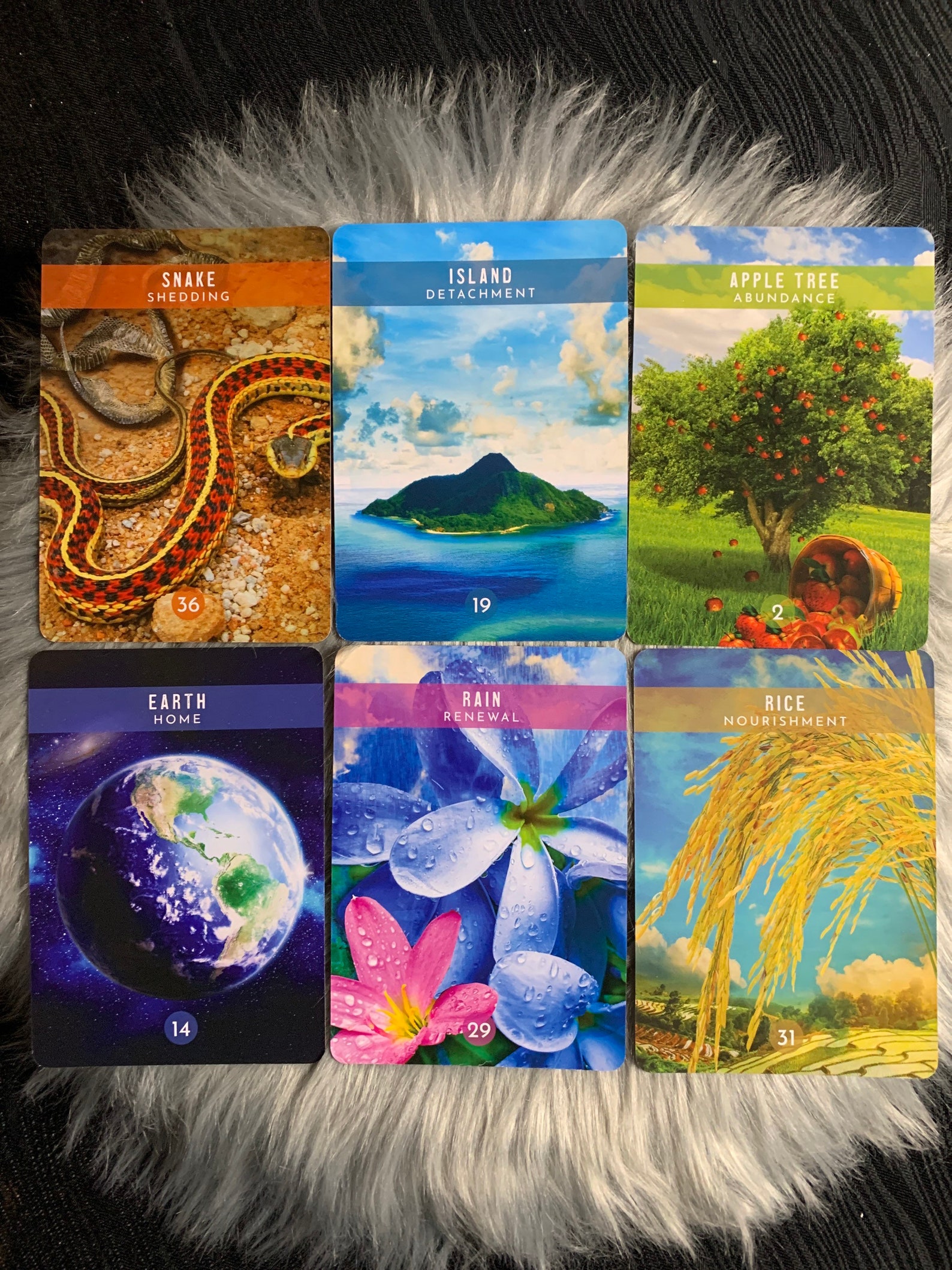 Messages From the Spirits of Nature Oracle Card Deck and Guidebook by ...