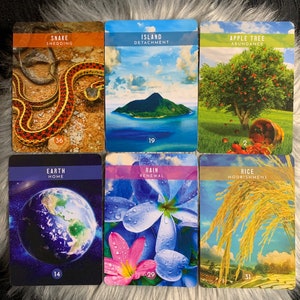 Messages From the Spirits of Nature Oracle Card Deck and Guidebook by ...
