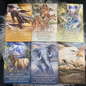 Spirit of the Animals Oracle Card Deck With Physical Guidebook by Jodi Bergsma - Etsy