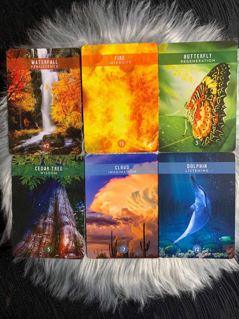 Messages From the Spirits of Nature Oracle Card Deck and Guidebook by ...