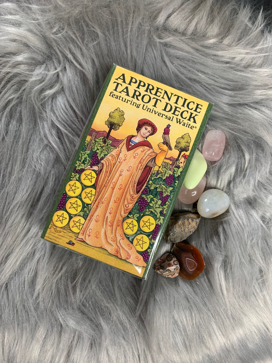 Beginner's Apprentice Tarot Deck With Physical Guide Booklet by Jody ...