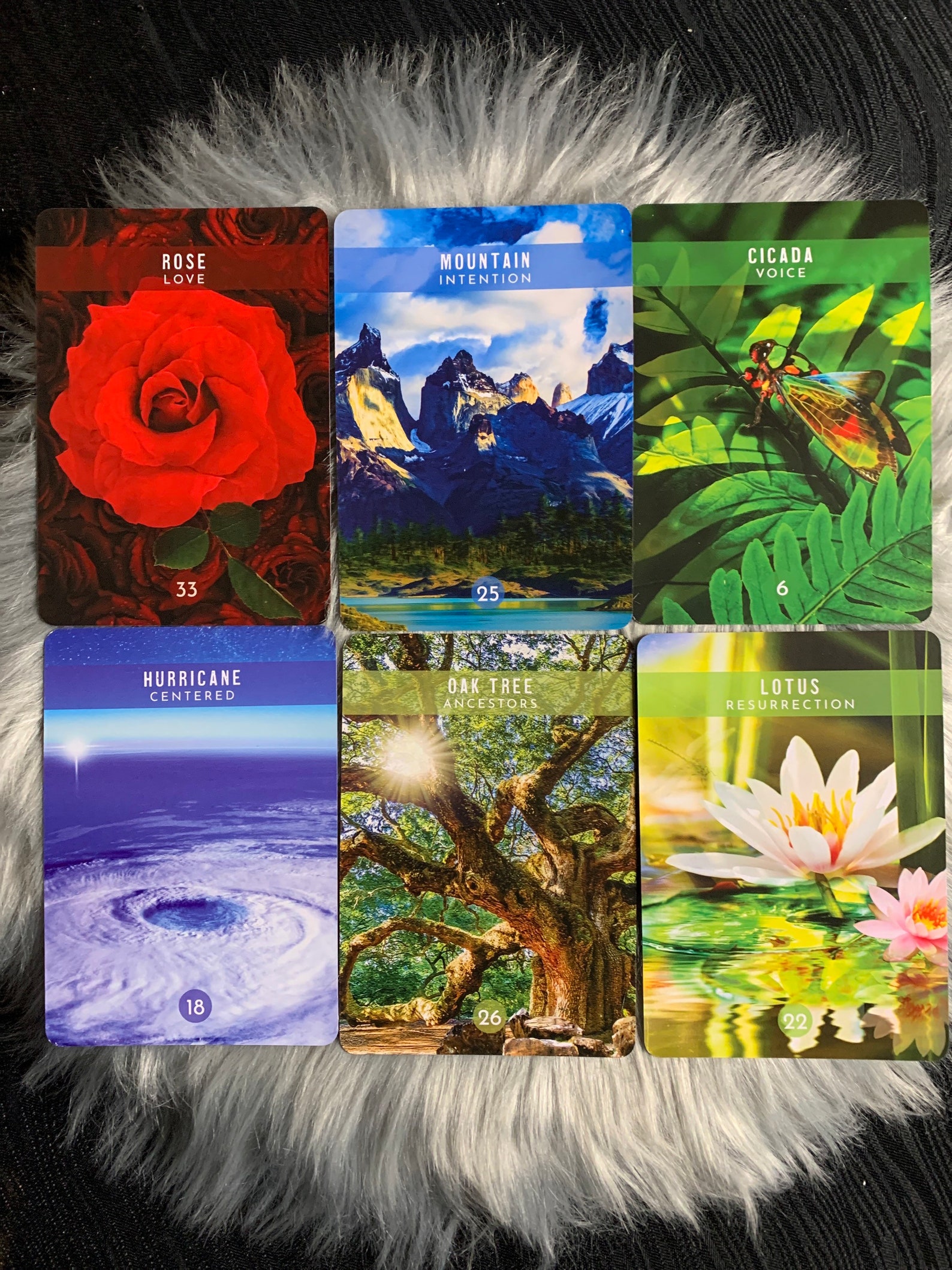 Messages From the Spirits of Nature Oracle Card Deck and Guidebook by ...
